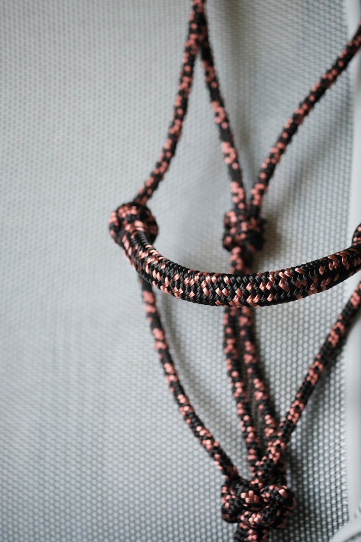 Overlay Halter, rose gold x kingfisher, horse rope halter – Wild Rider