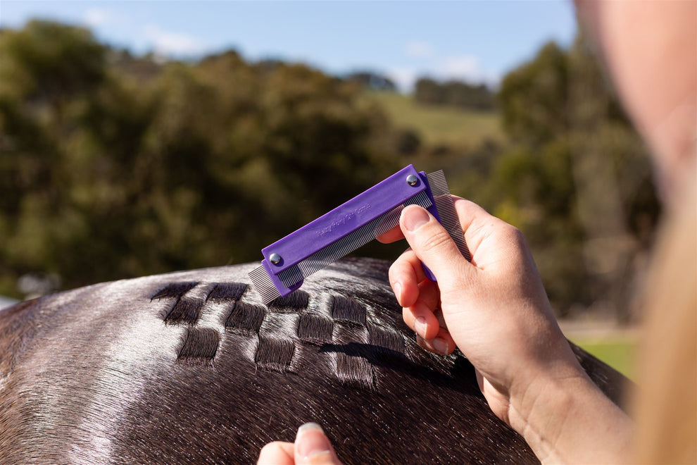 Horse Quarter Mark Kit – Wild Rider