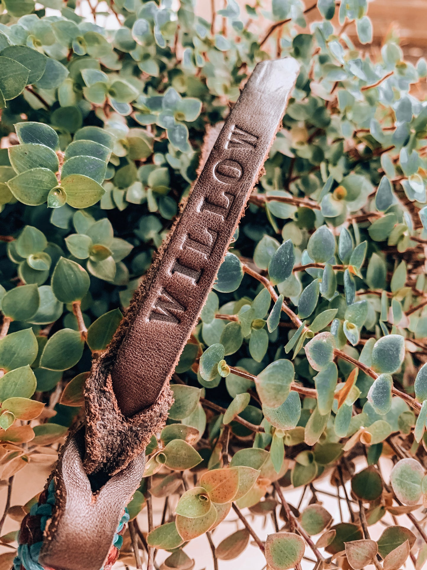 Leather Poppers - for Lead Rope - Brown - Wild Rider