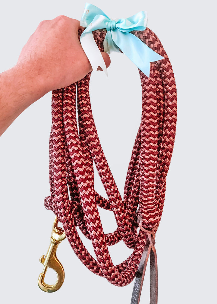 Lead Ropes & Lunge Lines – Wild Rider