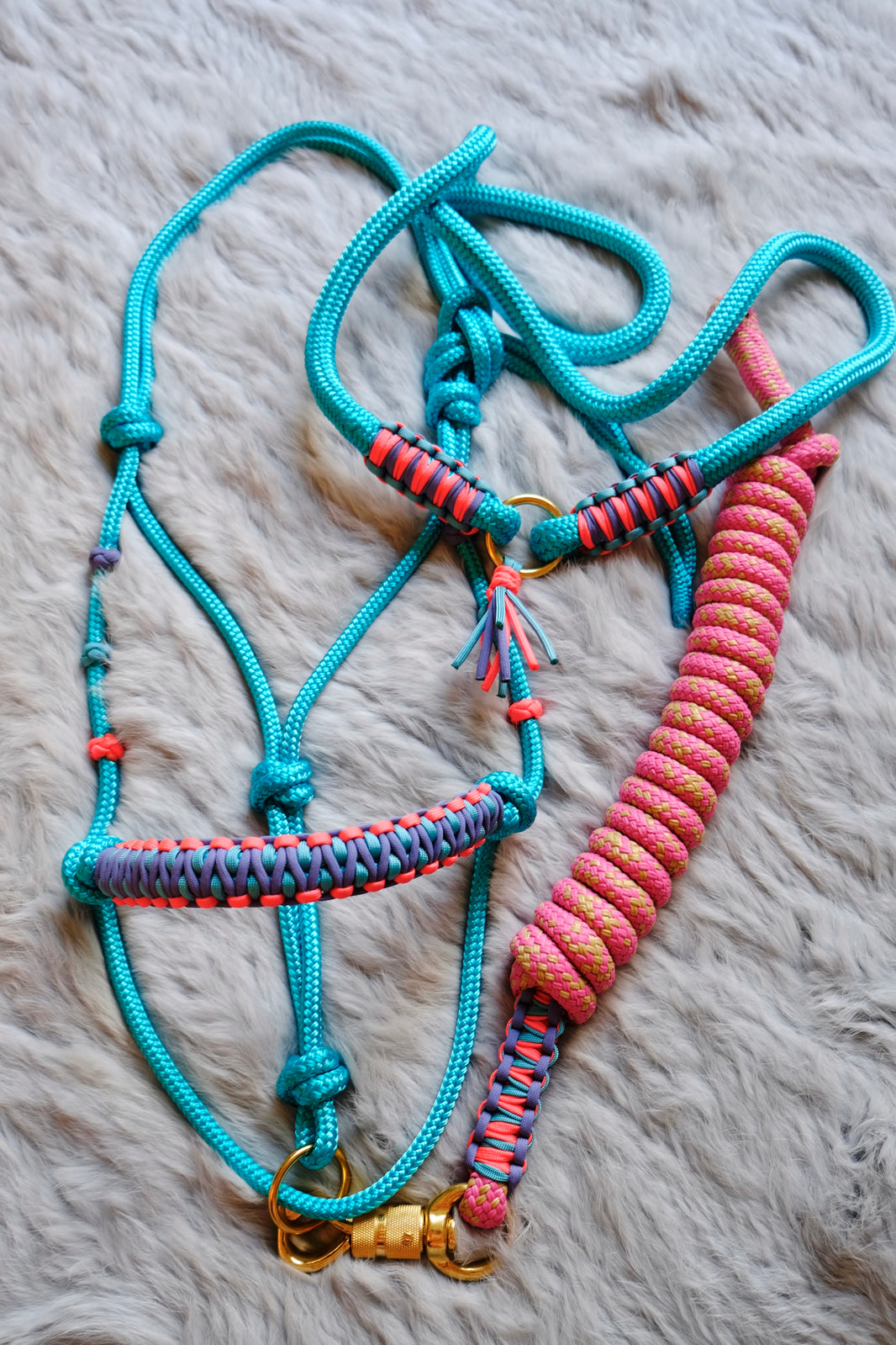 Paracord Halter and Lead Sets – Wild Rider