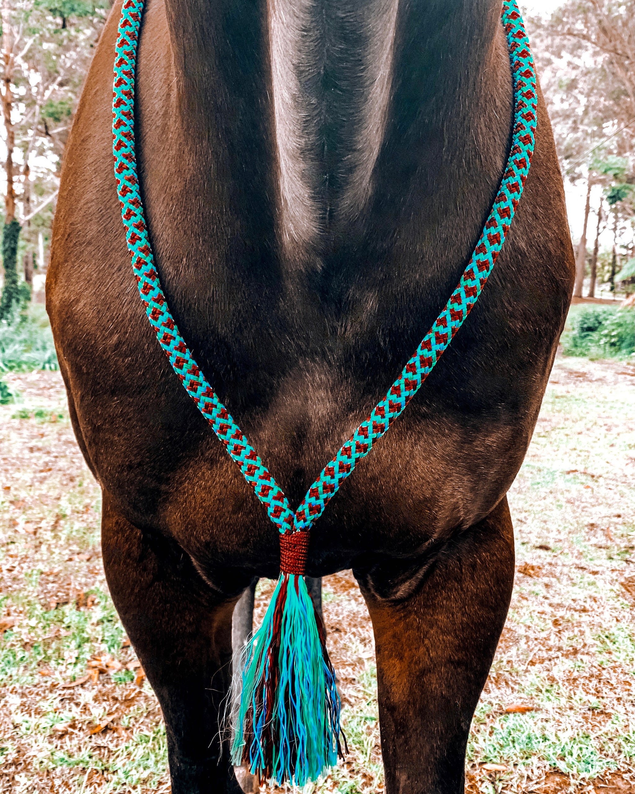 Tassel Neck Rope - "PEACOCK" - Wild Rider