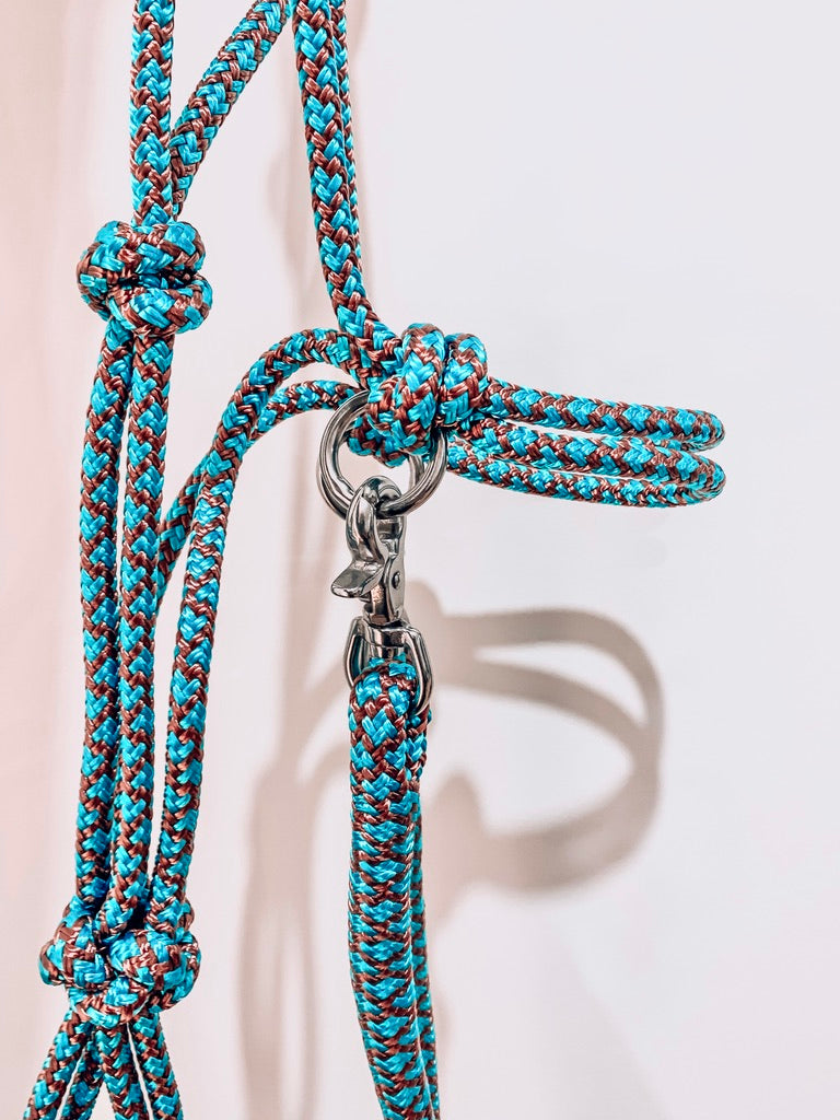 Standard Sidepull Halter with rings – Wild Rider