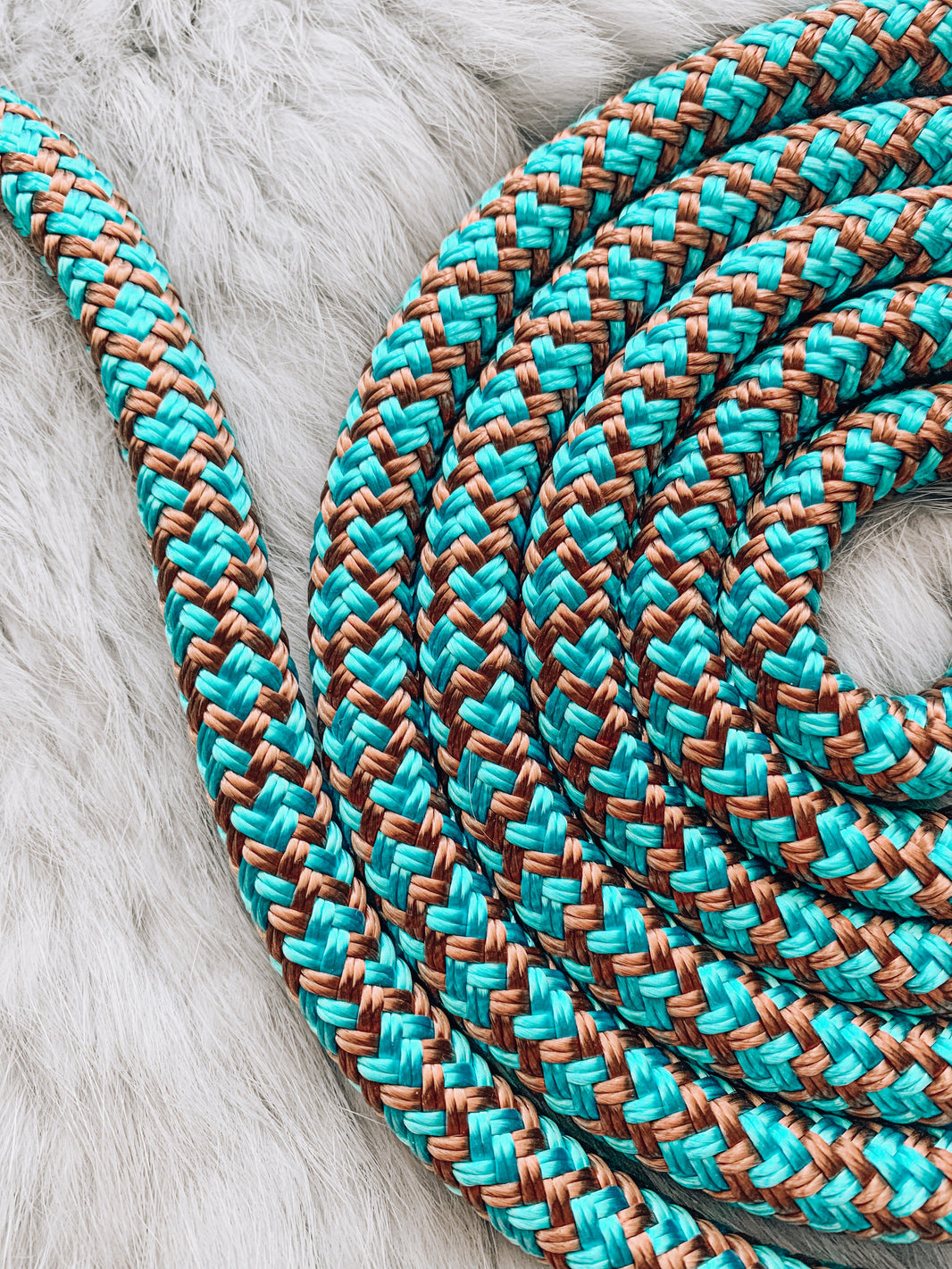 Lead Ropes & Lunge Lines – Wild Rider