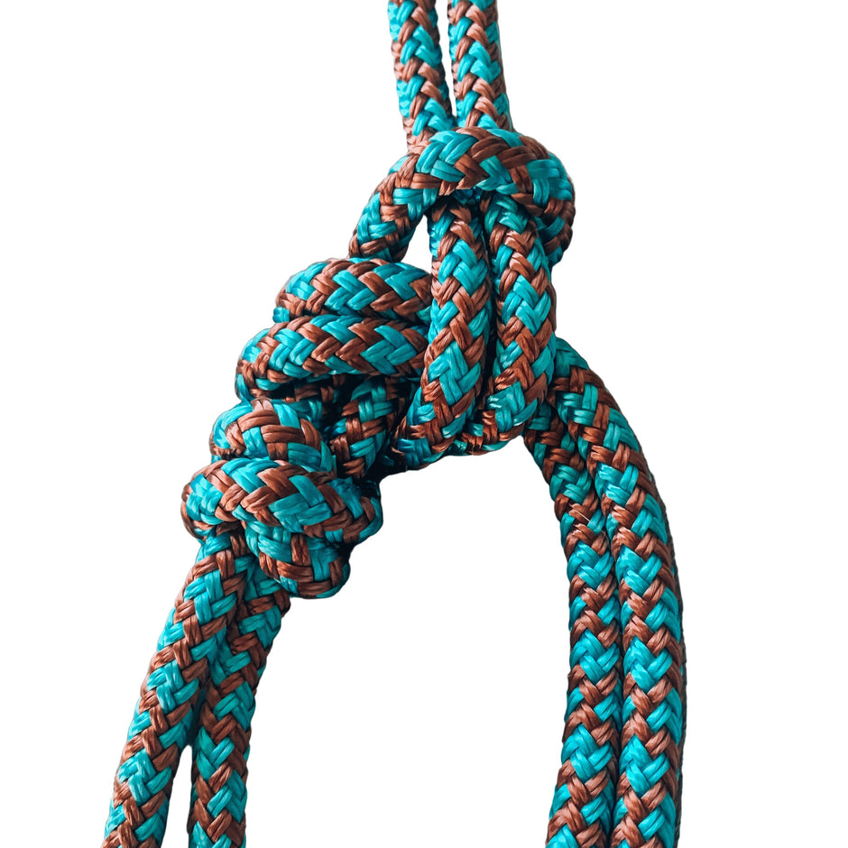 Standard Halter – Wild Rider