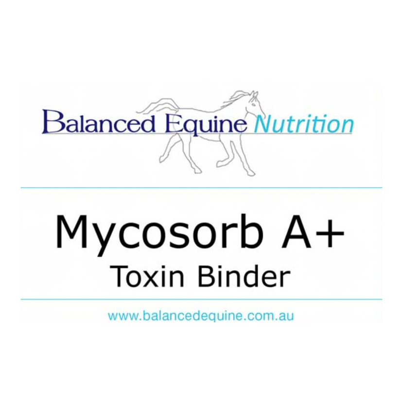Mycosorb A+ – Wild Rider